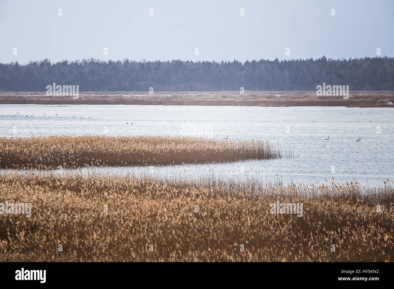 A beautiful early spring landscape with a lake Stock Photo - Alamy