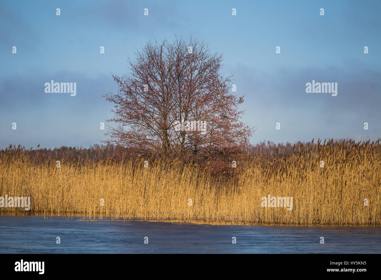 A beautiful early spring landscape with a lake Stock Photo - Alamy