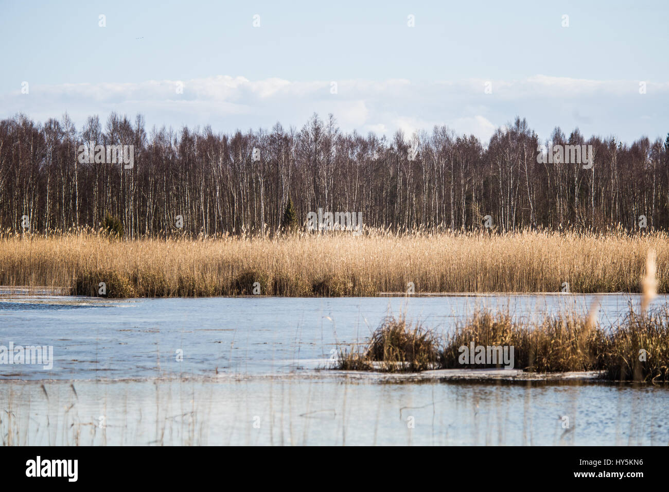 A beautiful early spring landscape with a lake Stock Photo - Alamy
