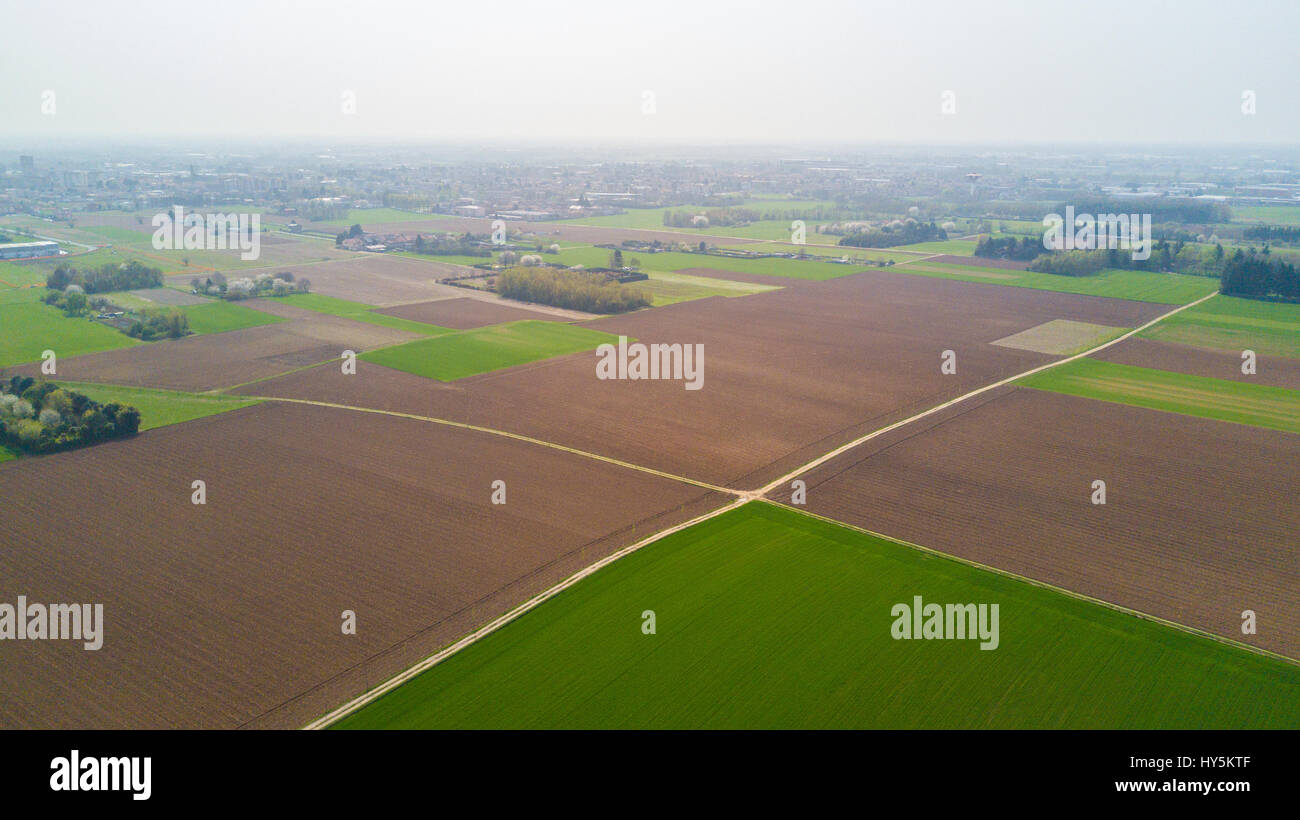 Nature and landscape: Aerial view of a field, cultivation, green grass ...