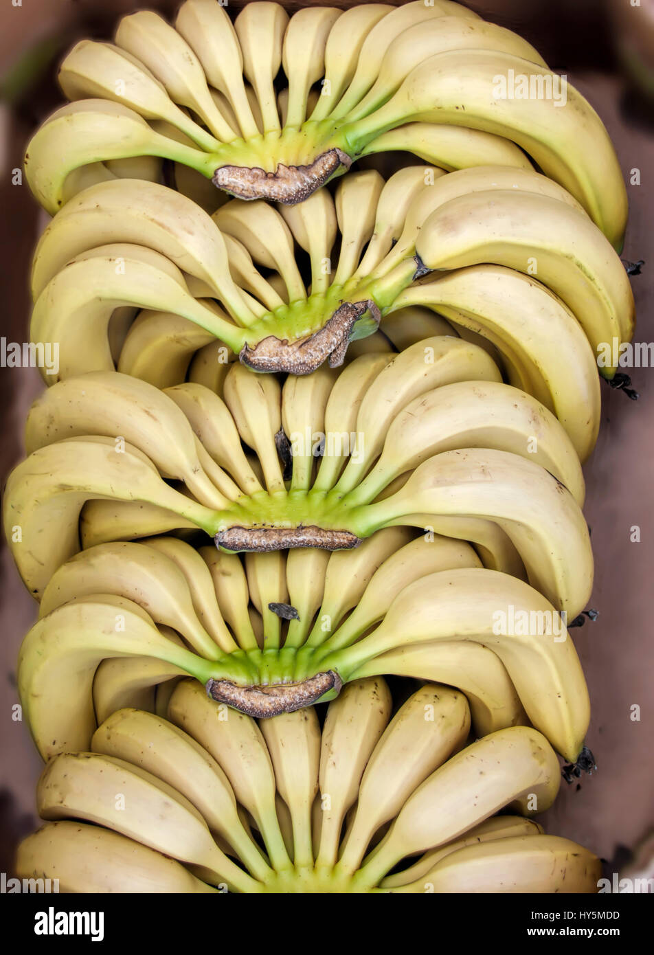 Close up of a few ripe yellow bunch of bananas Stock Photo - Alamy