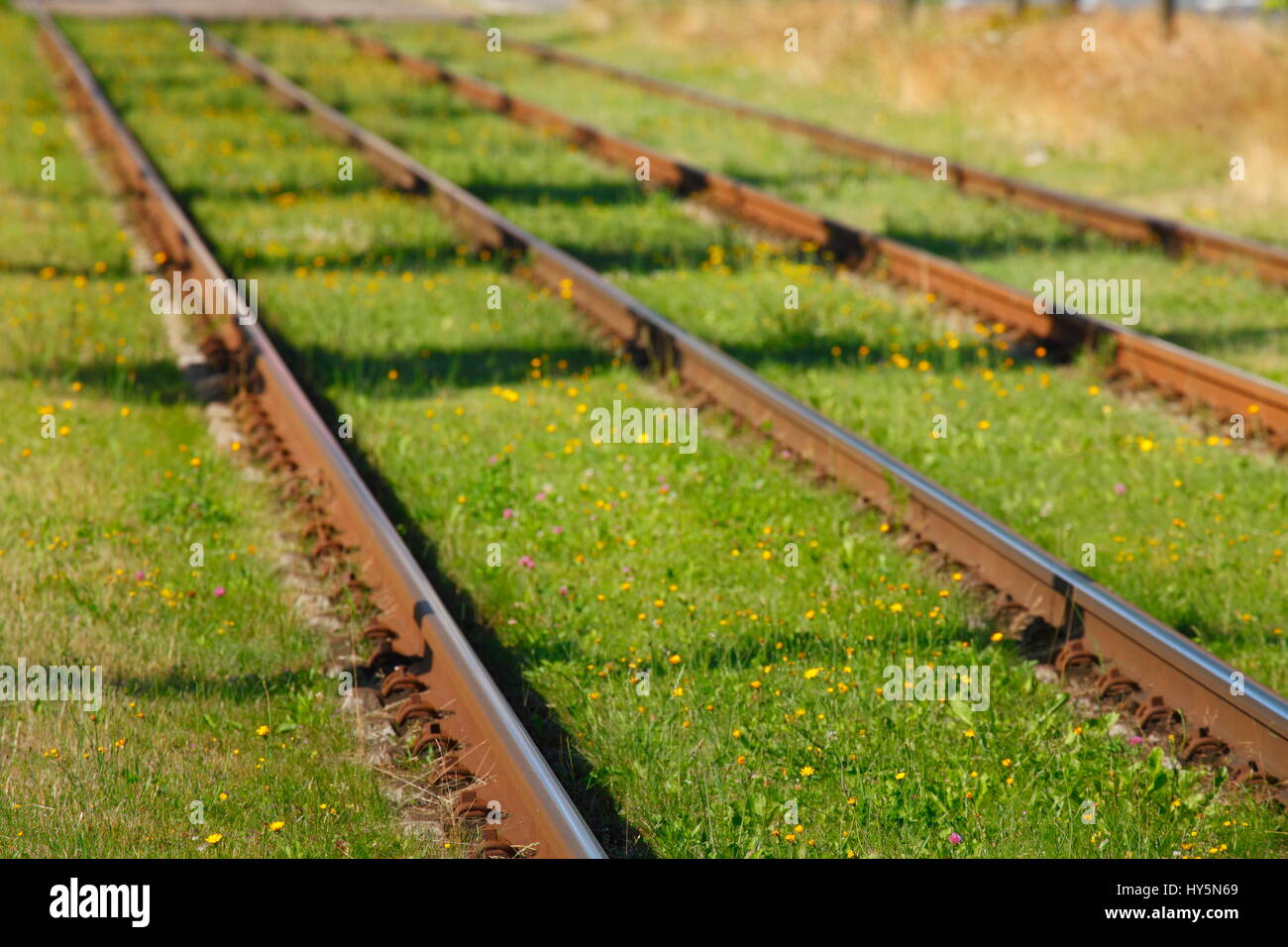 Tram bremen tramway hi-res stock photography and images - Alamy