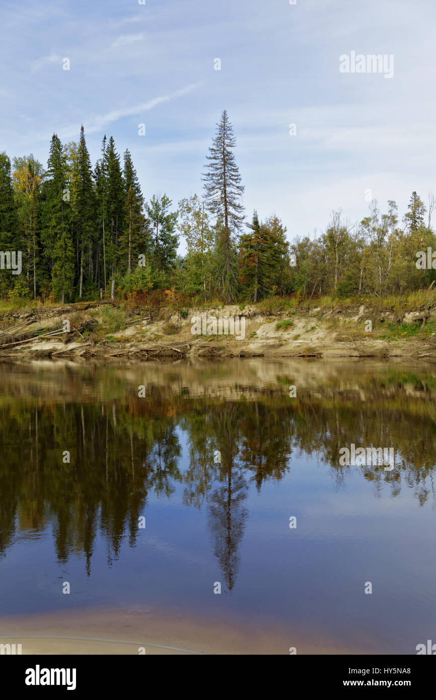 Taiga panorama hi-res stock photography and images - Alamy