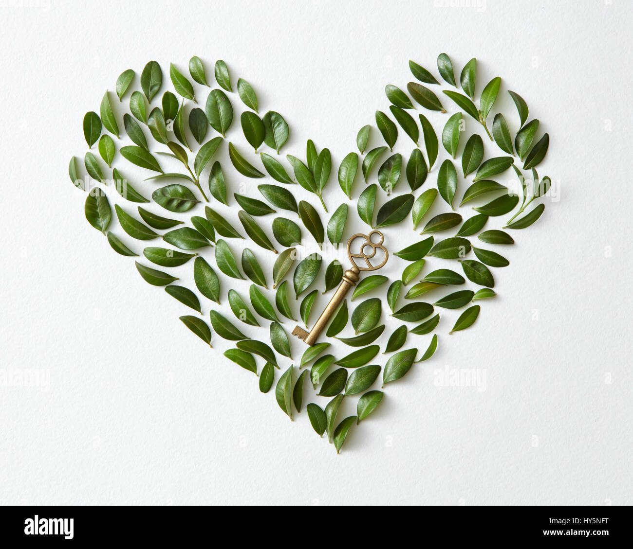 Vintage heart shape forest hi-res stock photography and images - Alamy