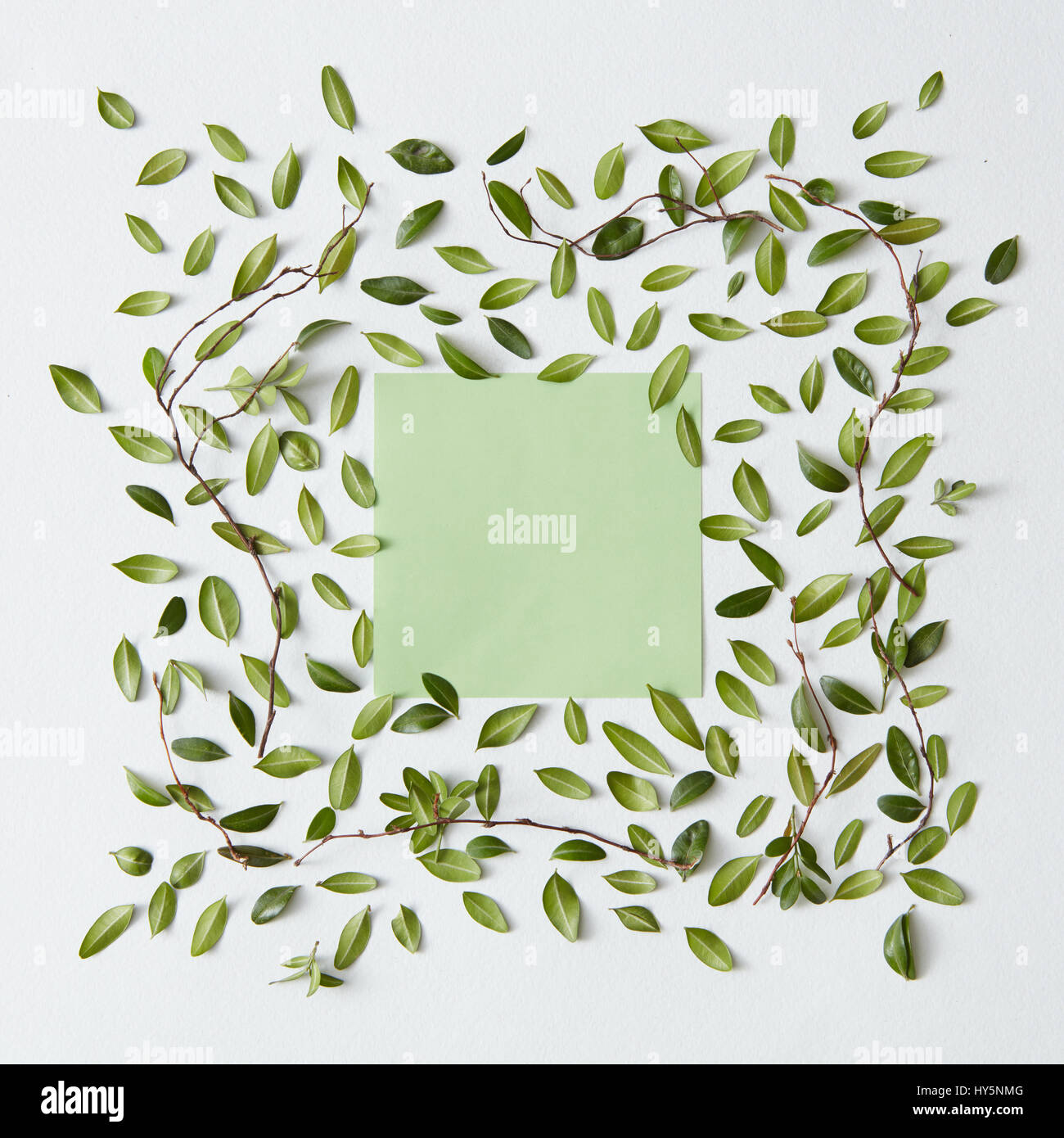 Sheet of paper with leaves Stock Photo - Alamy