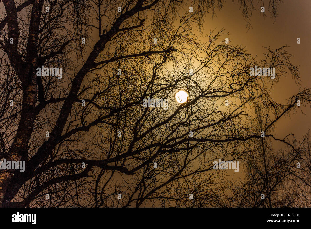 4 Season winter,beautiful,black,bright,cold,color,colorful,dark,evening ...