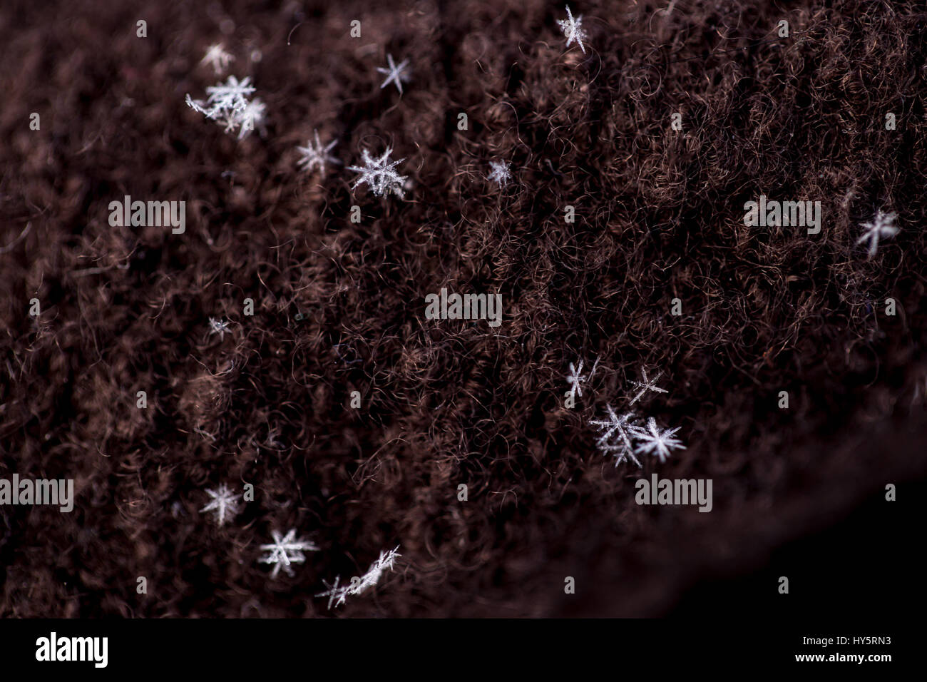 4 Season winter,brown,closeup,cold,decorative,detail,macro,new,outdoor ...
