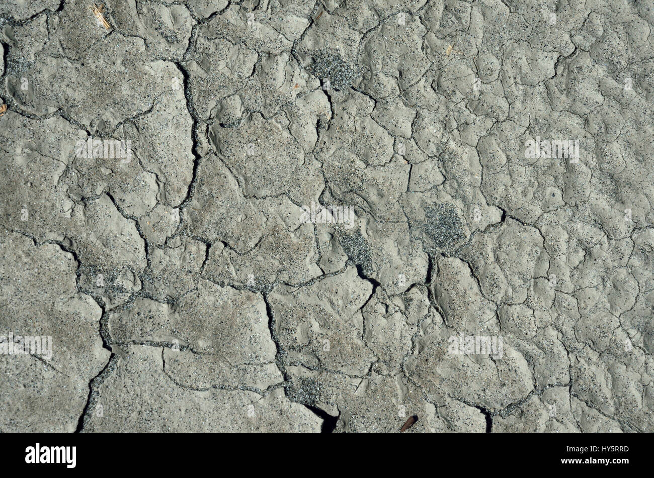 natural background of dried mud on a West Coast beach Stock Photo - Alamy