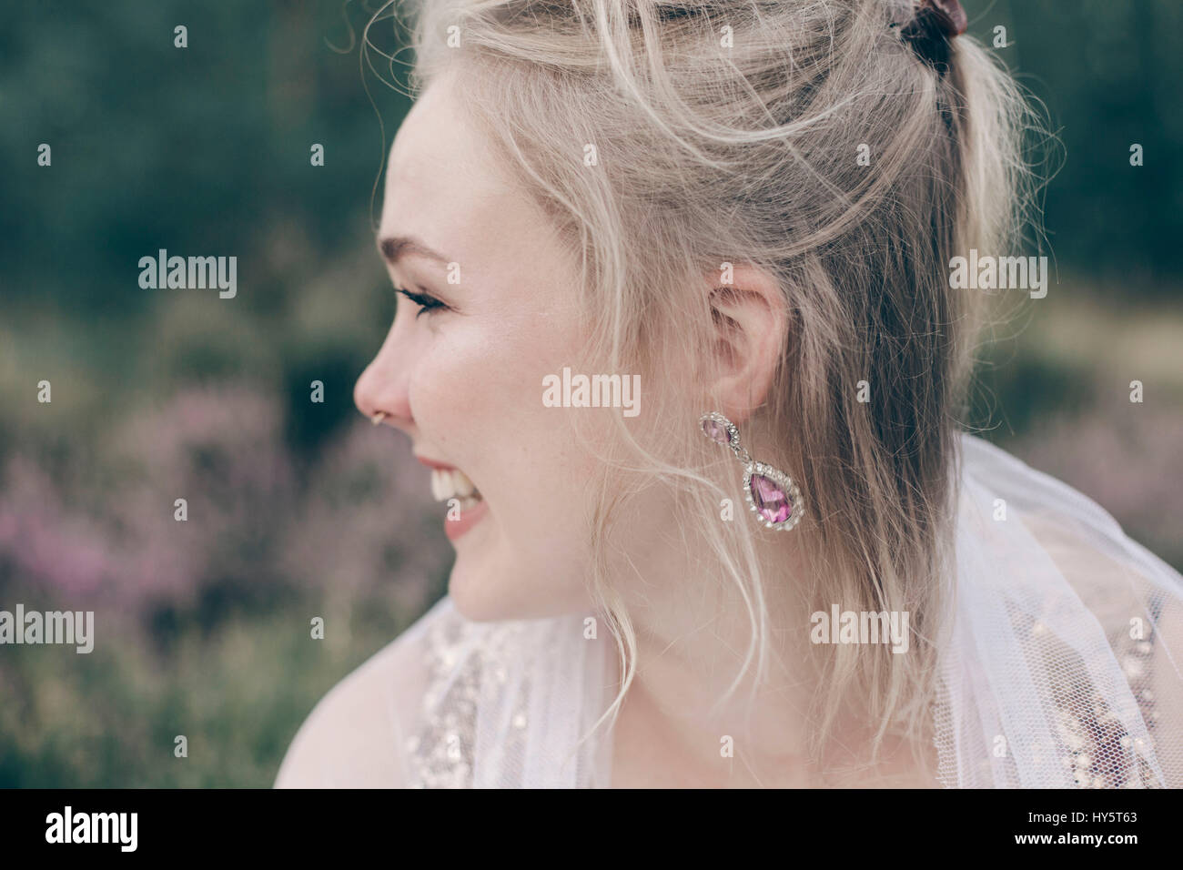 Profile of a swan stone Stock Photo - Alamy