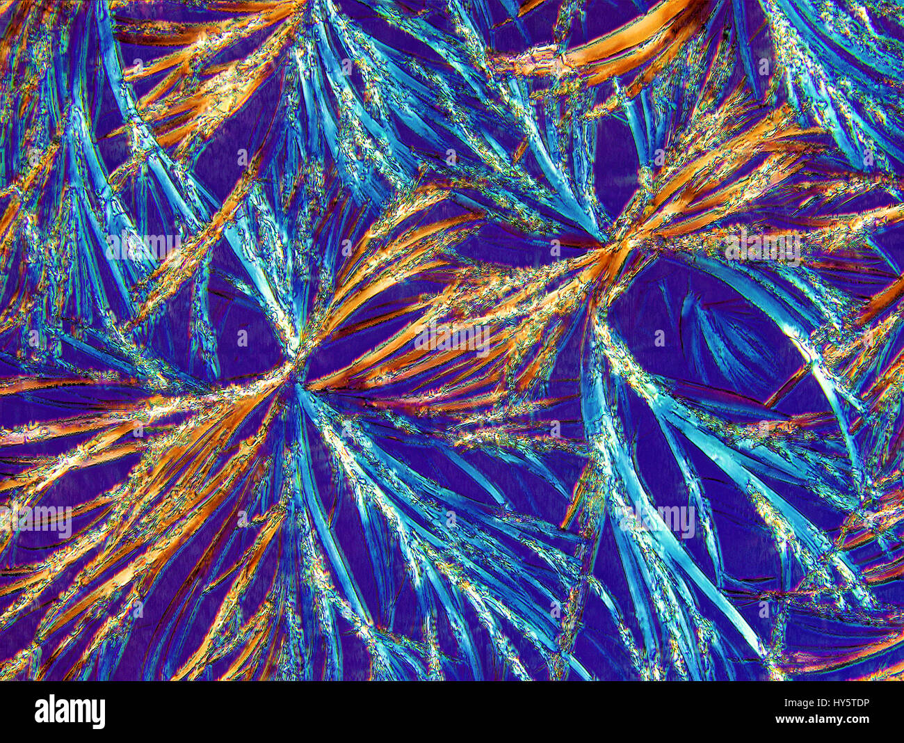 Crystals of potassium salicylate undes differential interference ...