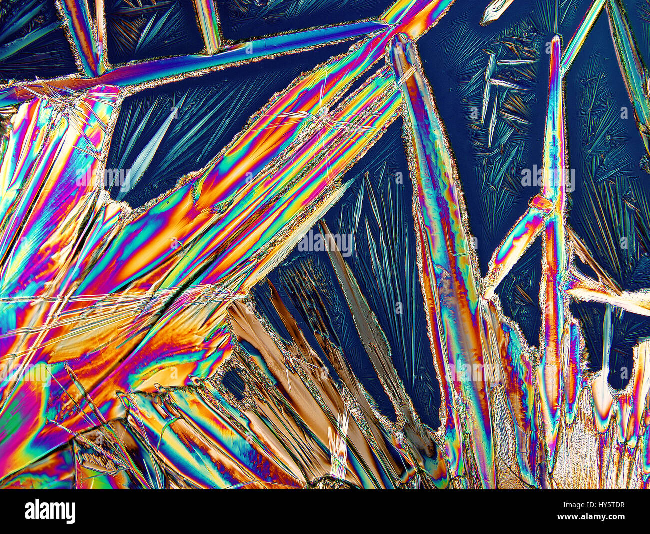 Crystals of potassium salicylate undes differential interference ...