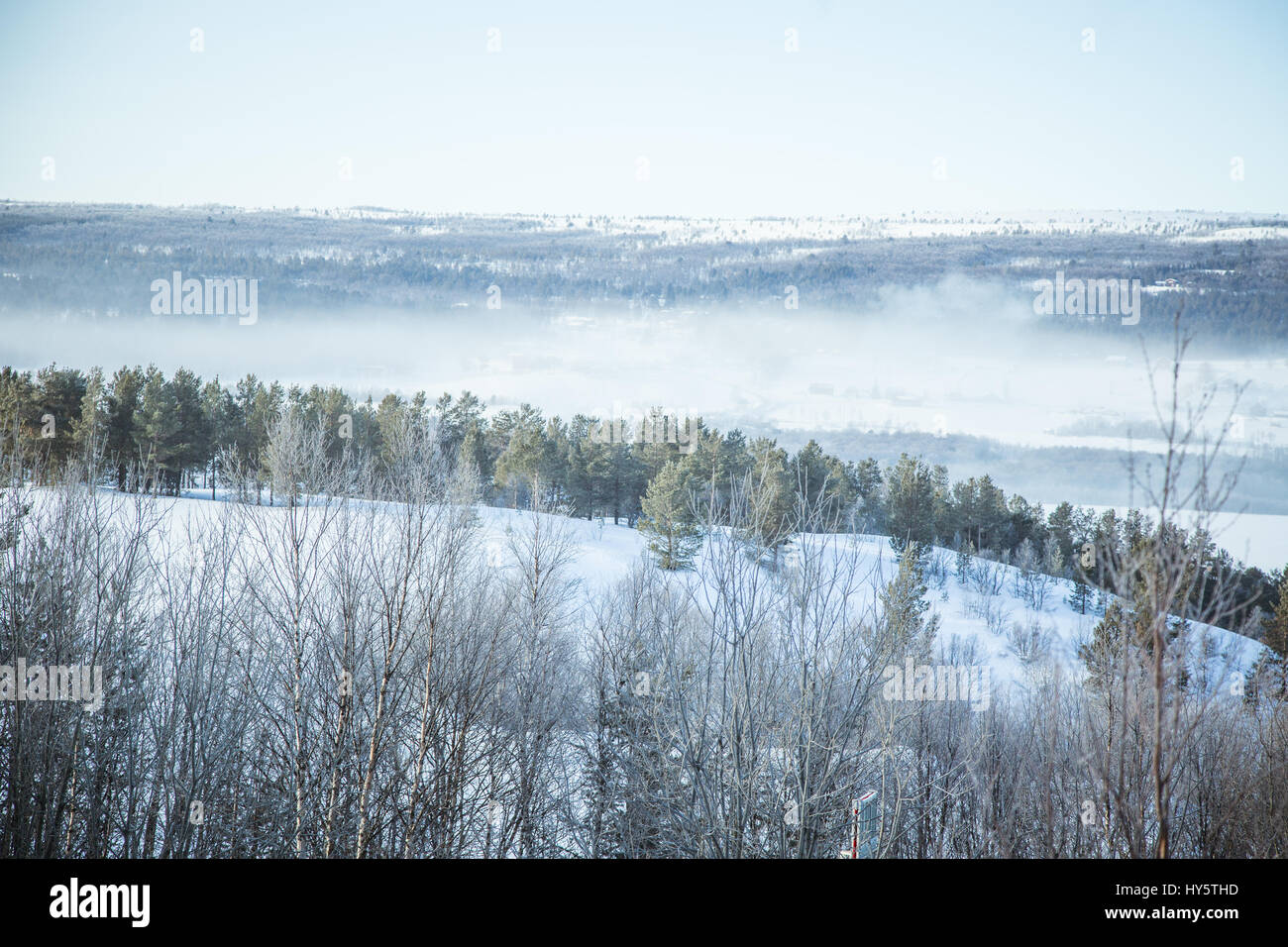 A beautiful forest landscape of a snowy Norwegian winter day Stock ...