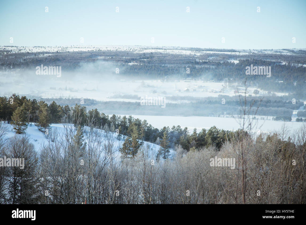 A beautiful forest landscape of a snowy Norwegian winter day Stock ...