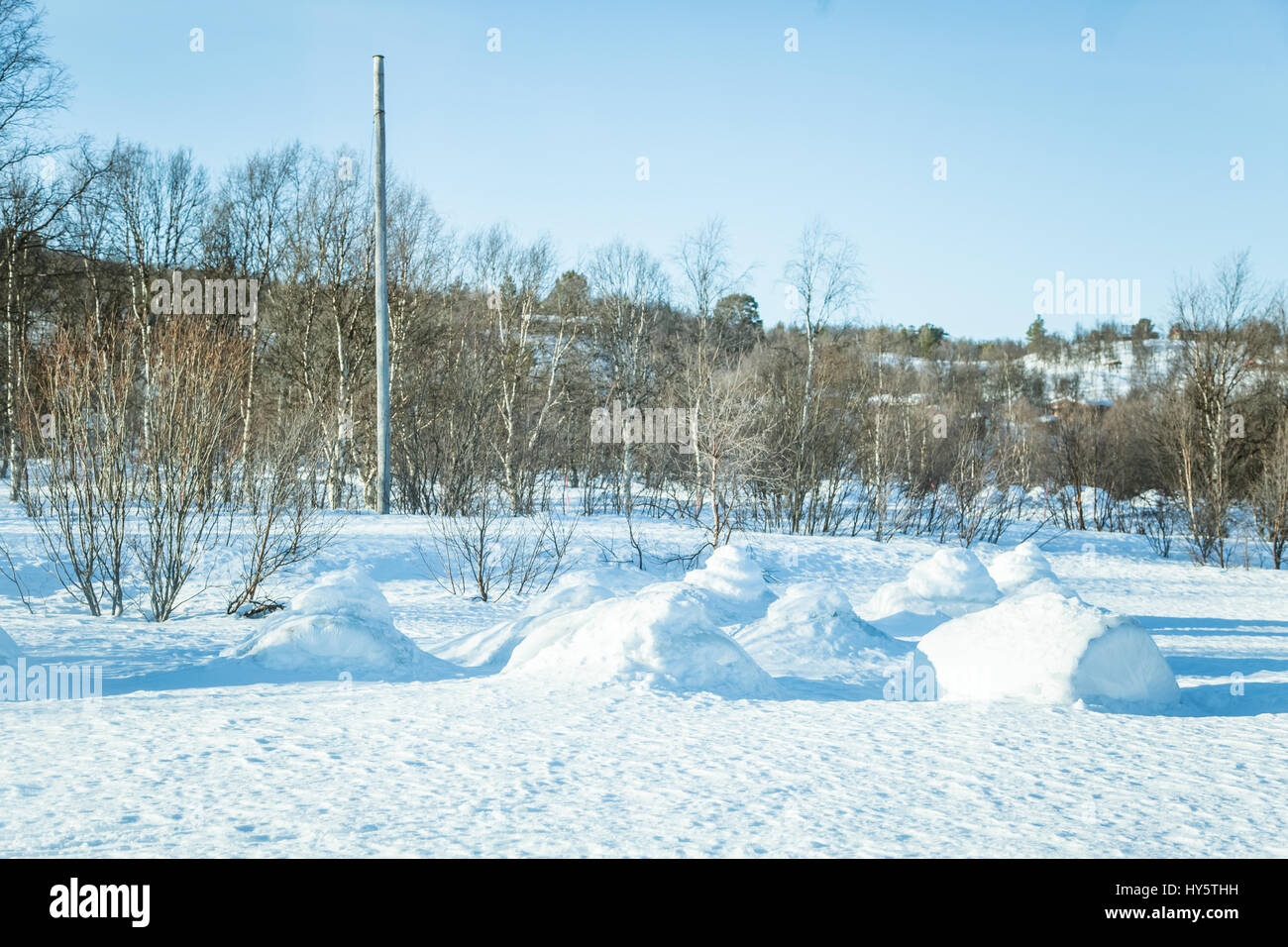 A beautiful forest landscape of a snowy Norwegian winter day Stock ...