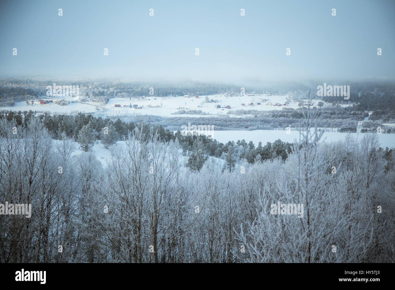 A beautiful forest landscape of a snowy Norwegian winter day Stock ...