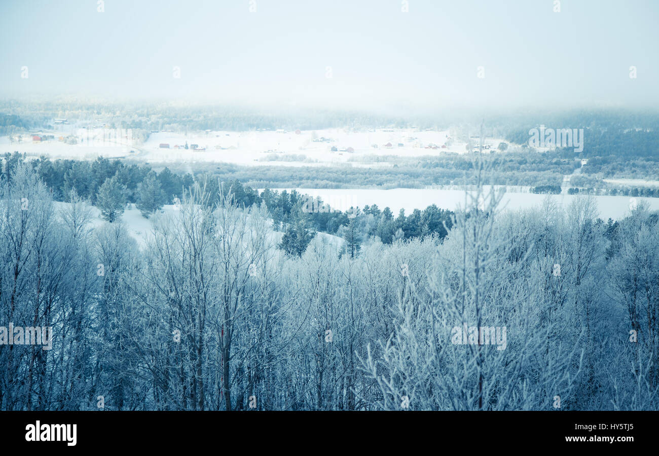 A beautiful forest landscape of a snowy Norwegian winter day Stock ...