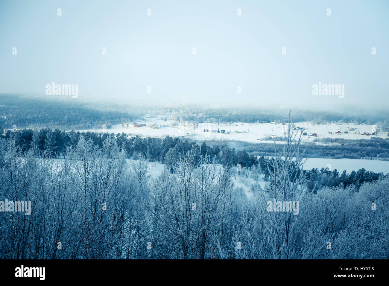 A beautiful forest landscape of a snowy Norwegian winter day Stock ...