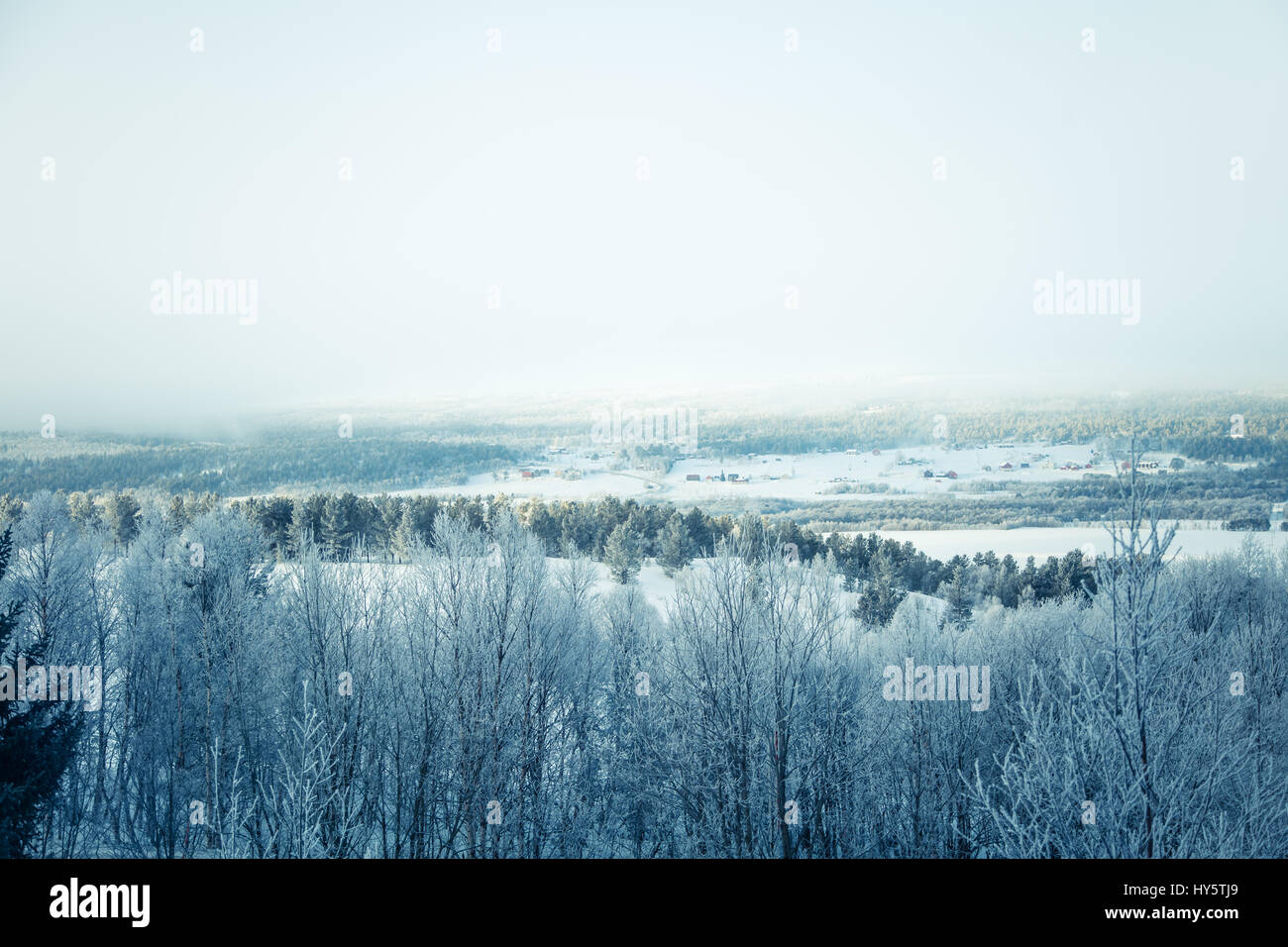 A beautiful forest landscape of a snowy Norwegian winter day Stock ...