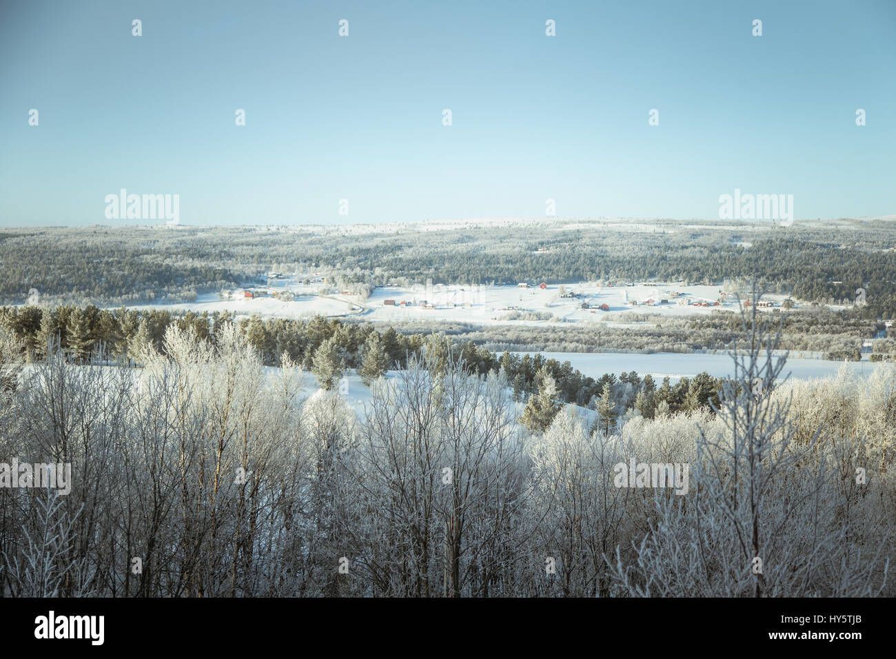 A beautiful forest landscape of a snowy Norwegian winter day Stock ...