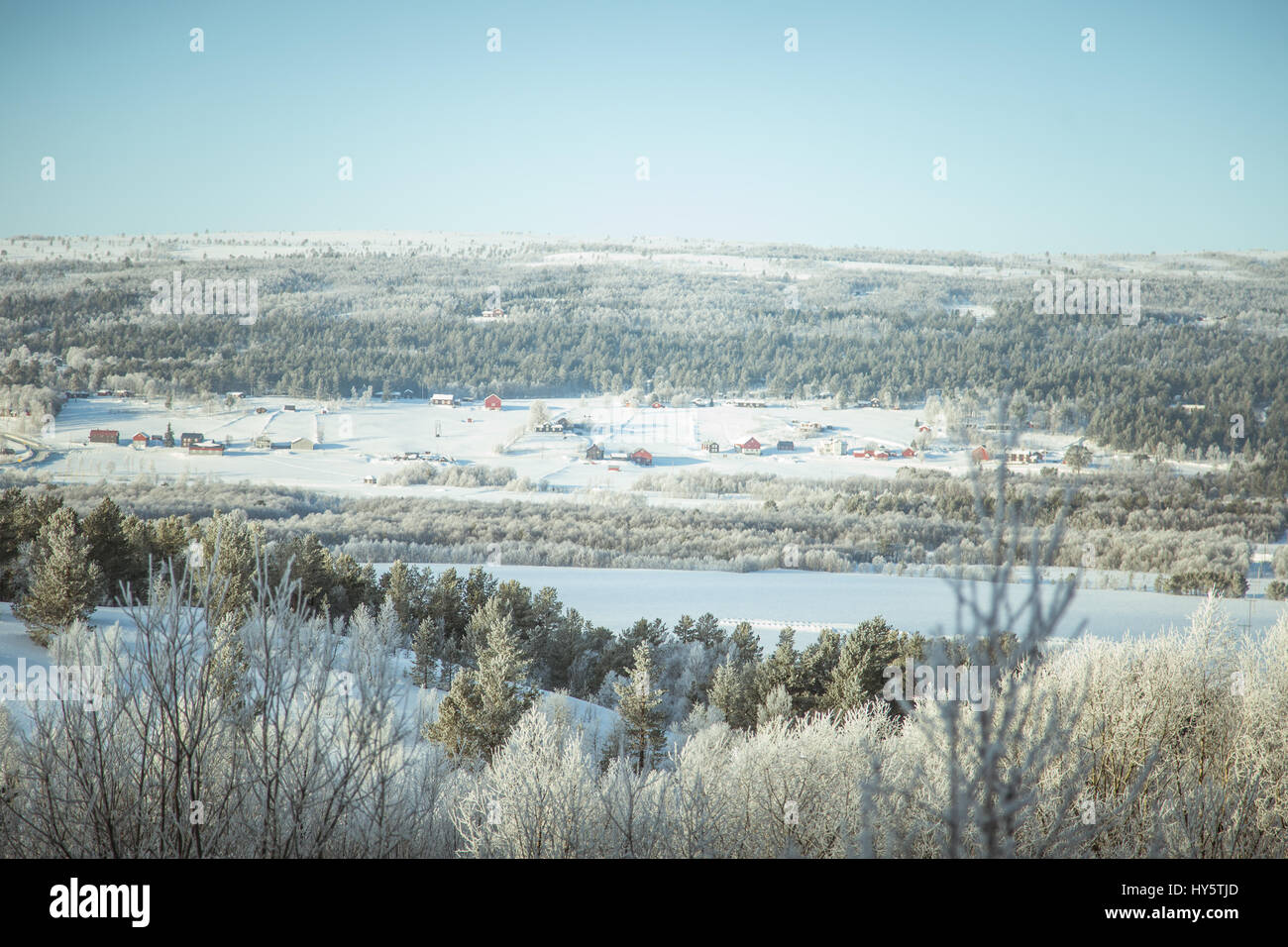 A beautiful forest landscape of a snowy Norwegian winter day Stock ...