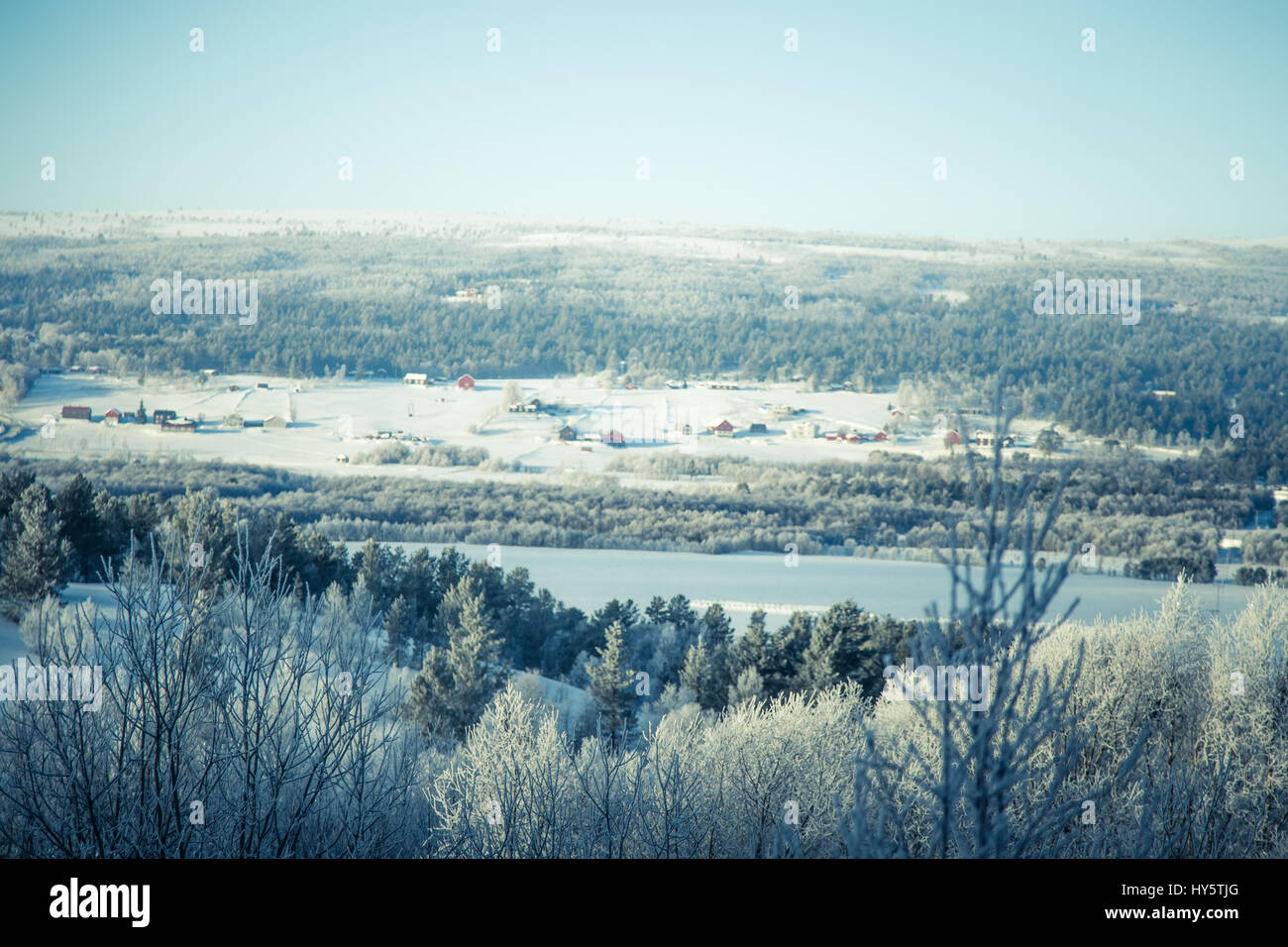 A beautiful forest landscape of a snowy Norwegian winter day Stock ...