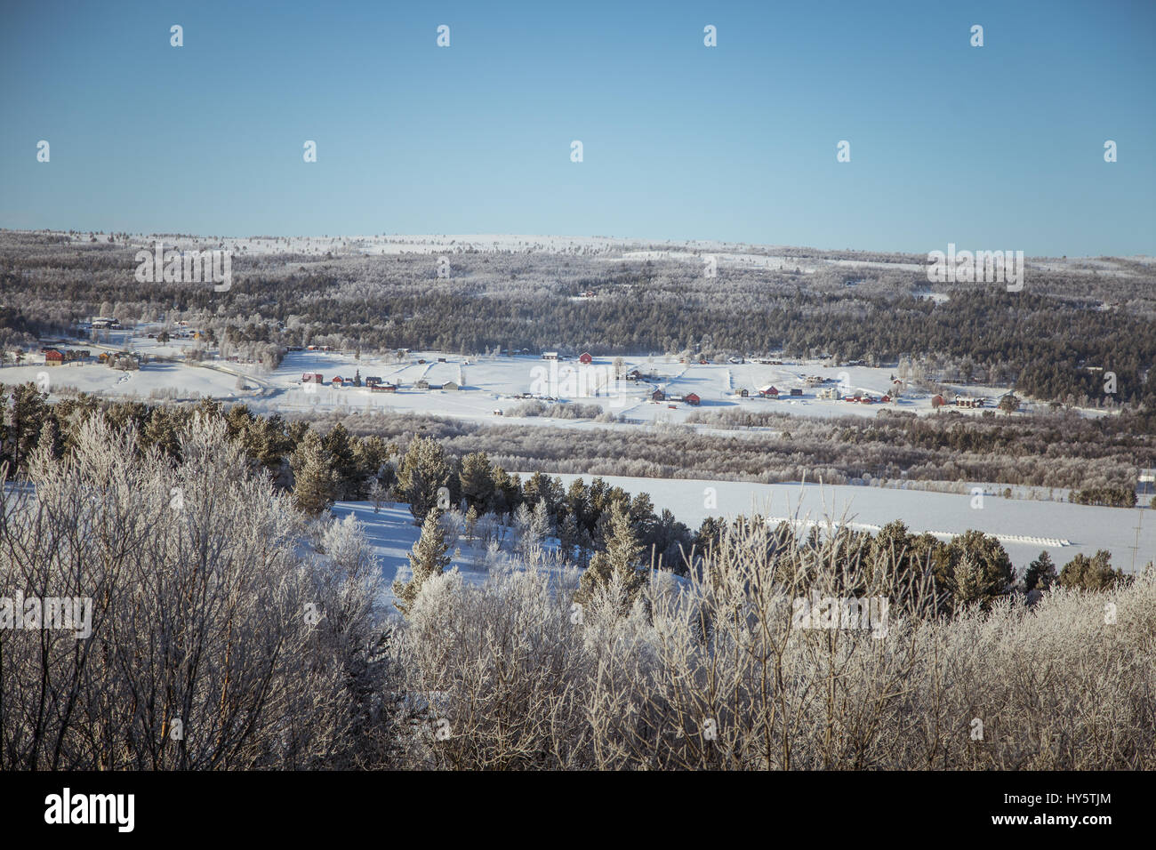 A beautiful forest landscape of a snowy Norwegian winter day Stock ...