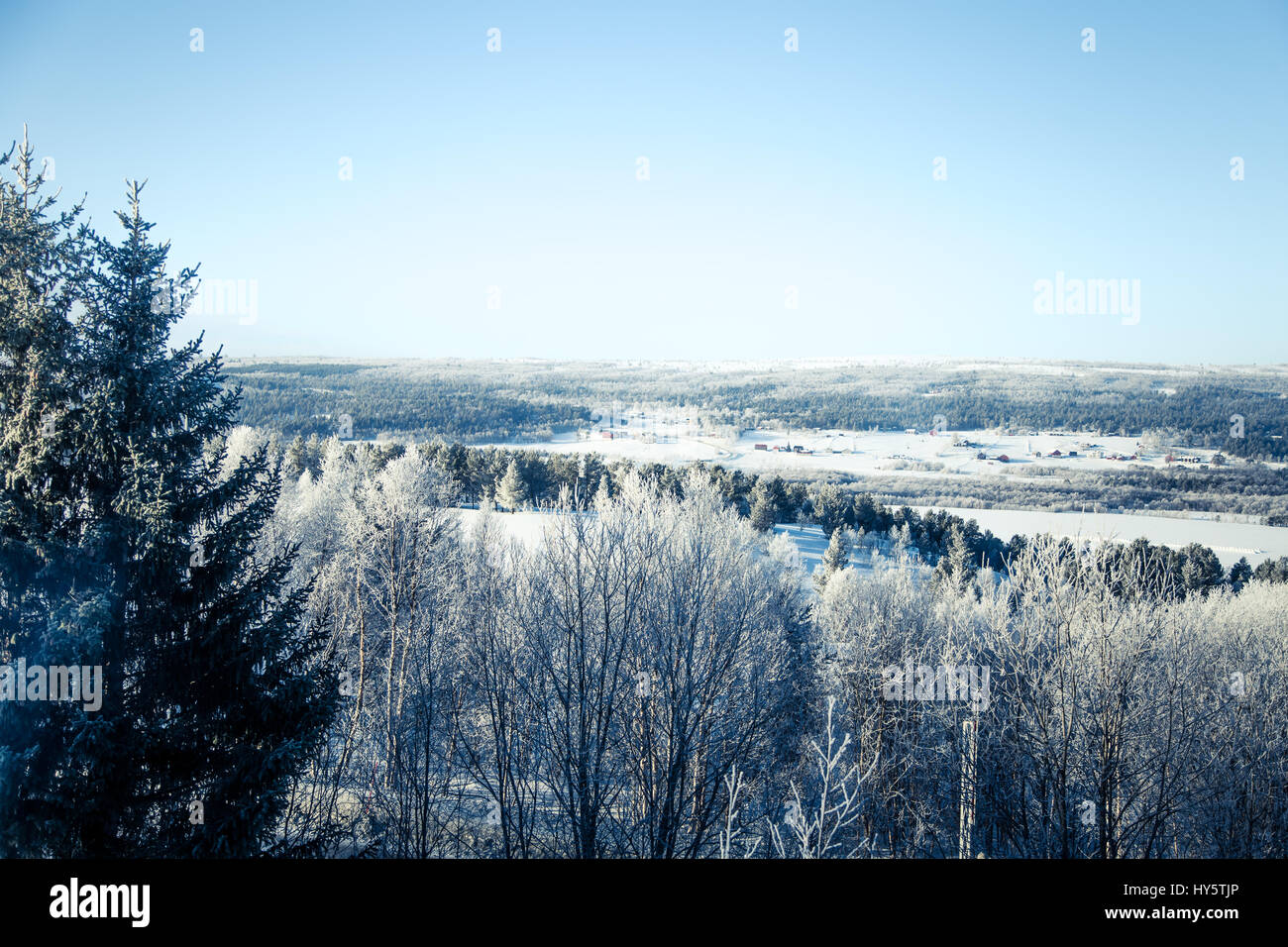 A beautiful forest landscape of a snowy Norwegian winter day Stock ...