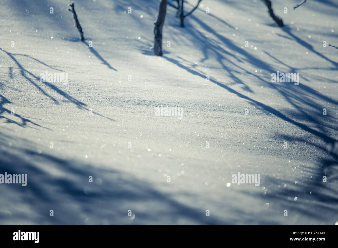 A beautiful forest landscape of a snowy Norwegian winter day Stock ...