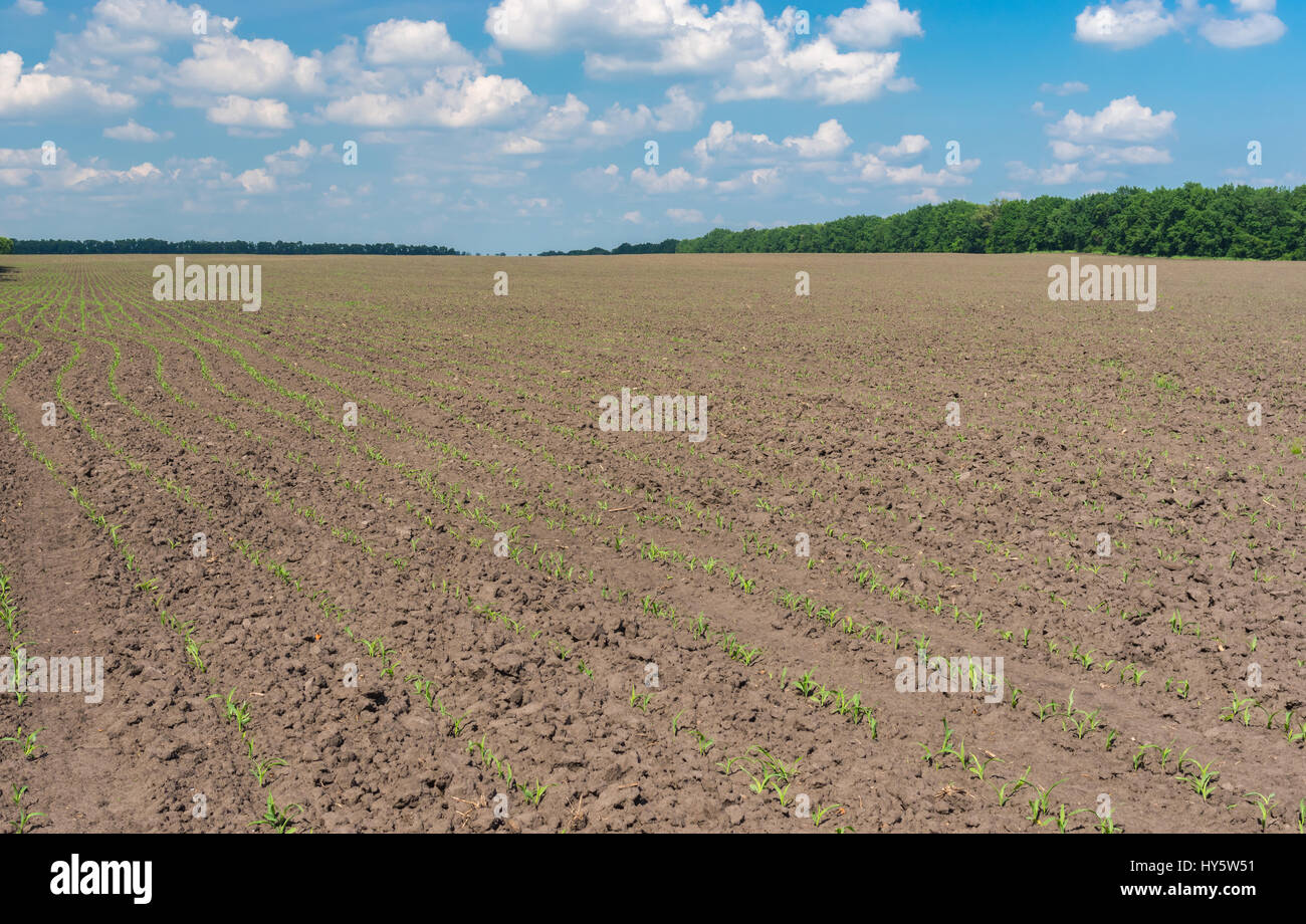 Spring agricultural scenery empty hi-res stock photography and images ...