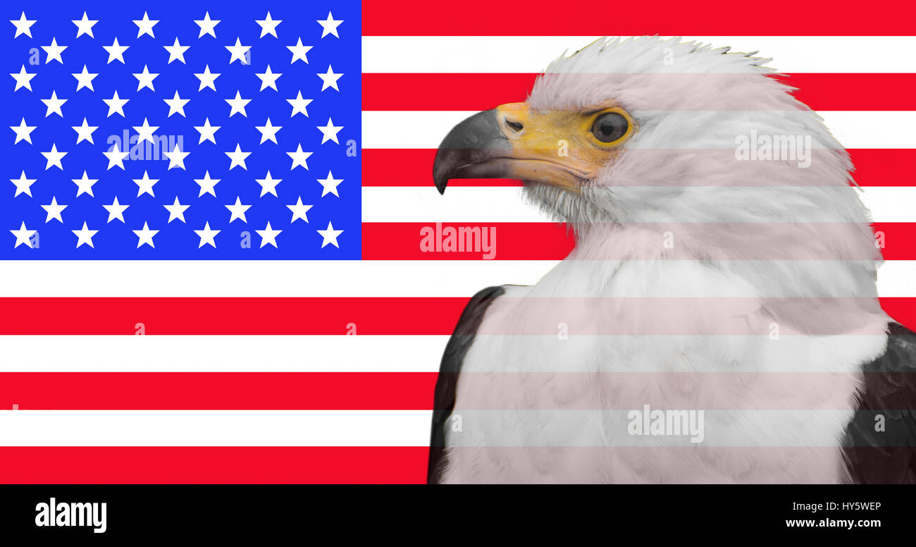 Red and white stars hi-res stock photography and images - Alamy