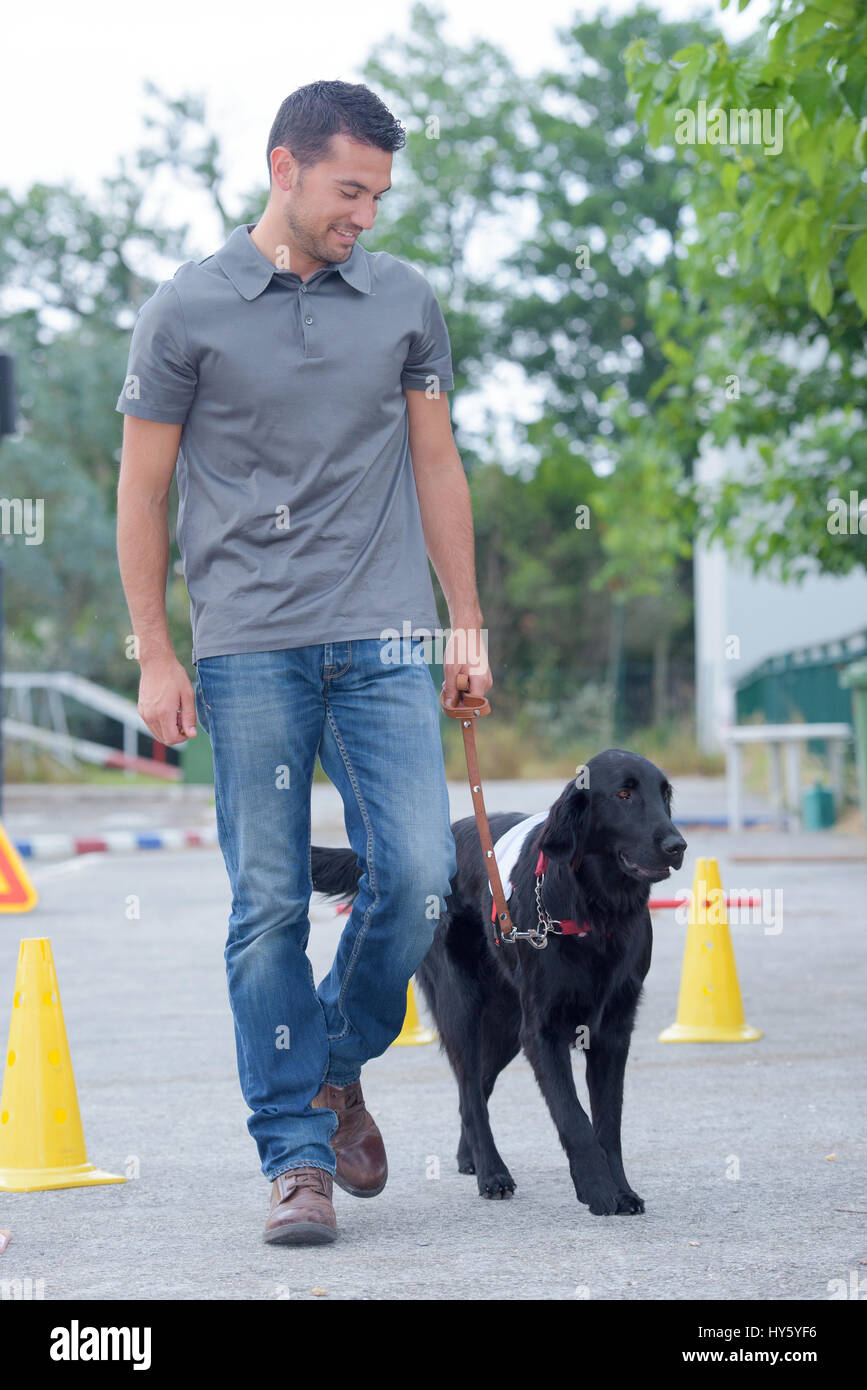 Man training dog Stock Photo - Alamy