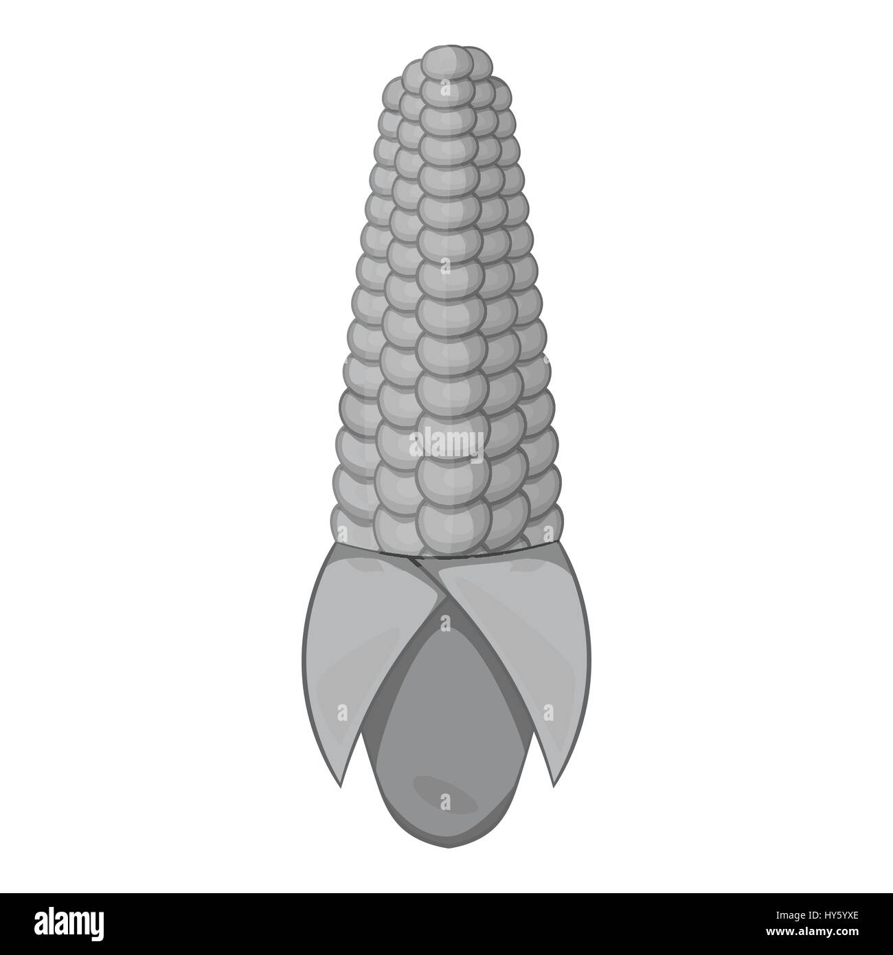Forage corn Stock Vector Images - Alamy