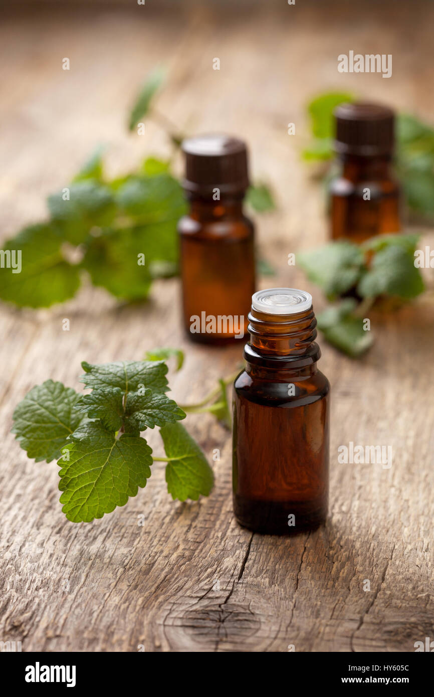 Sprigs of peppermint hi-res stock photography and images - Alamy