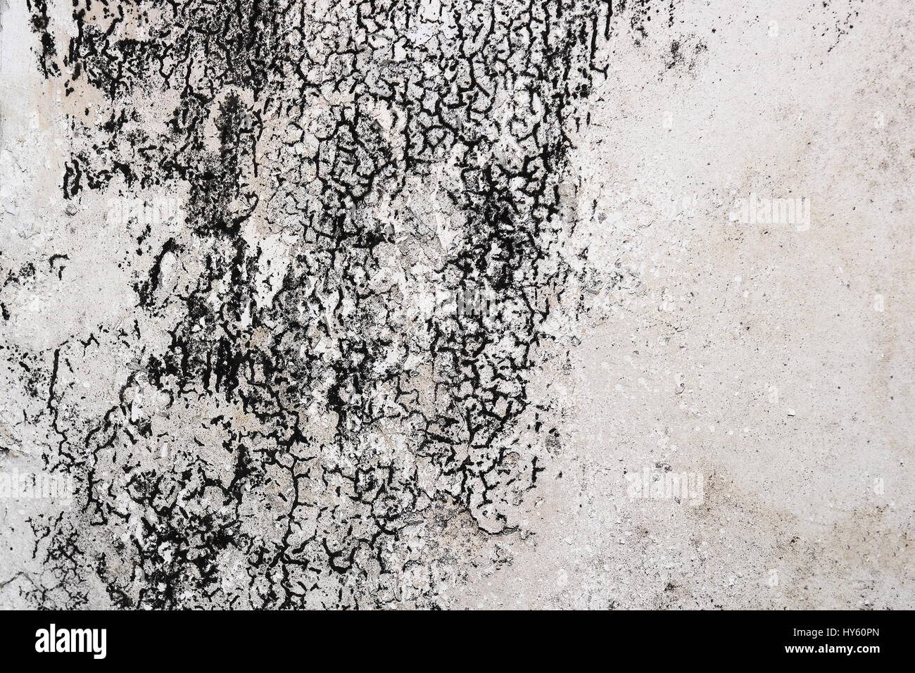 Dirty plaster texture hi-res stock photography and images - Alamy