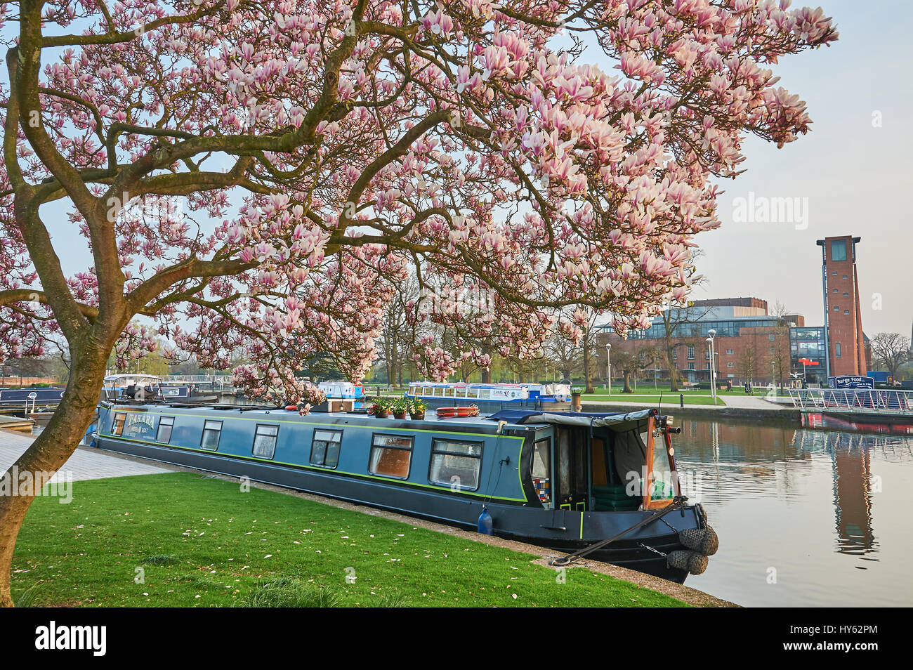 Narrow boat moored in Bancroft Basin, Stratford upon Avon, under a ...