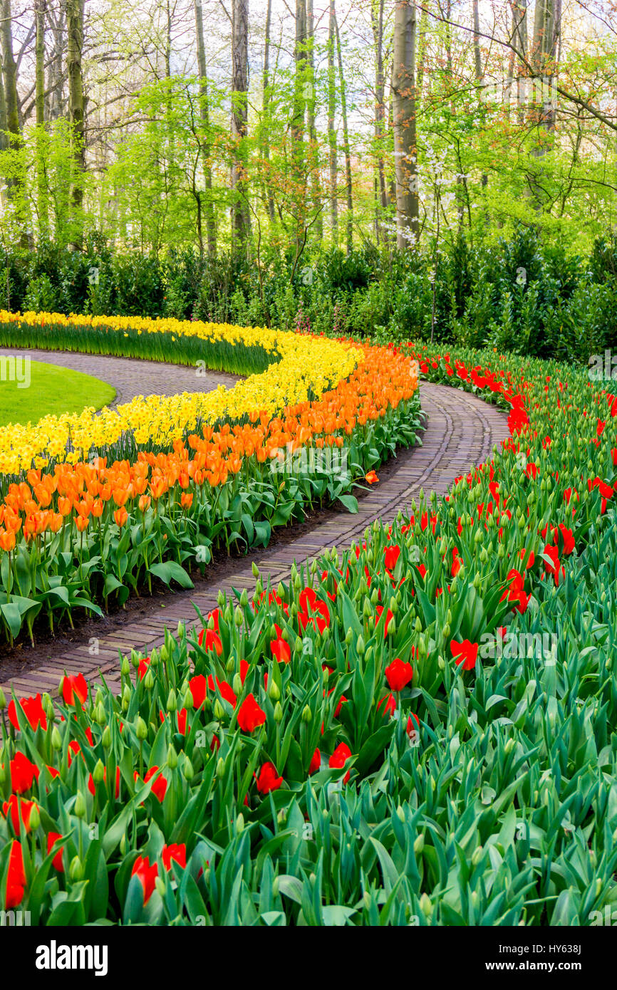 spring landscape. Spring nature background. beautiful garden Stock ...