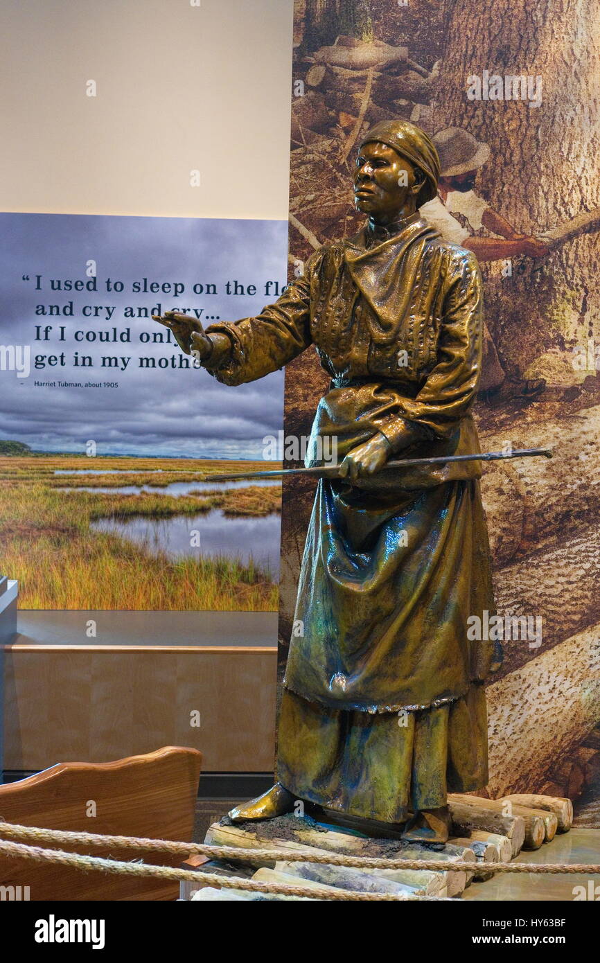 Harriet Tubman Underground Railroad State Park and Visitor Center Stock ...