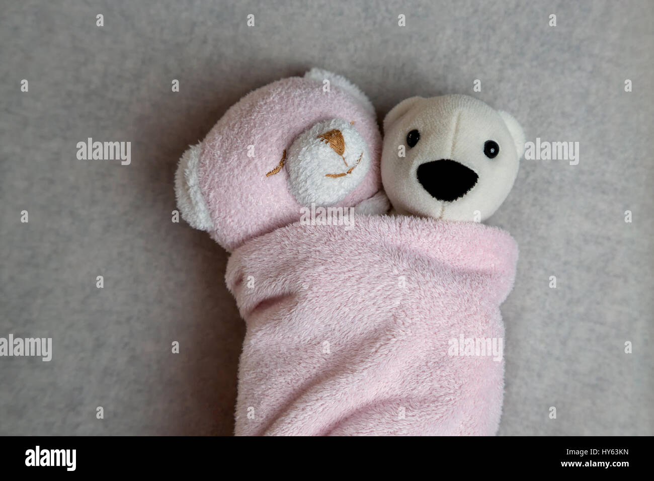 Two bears hugging hi-res stock photography and images - Alamy