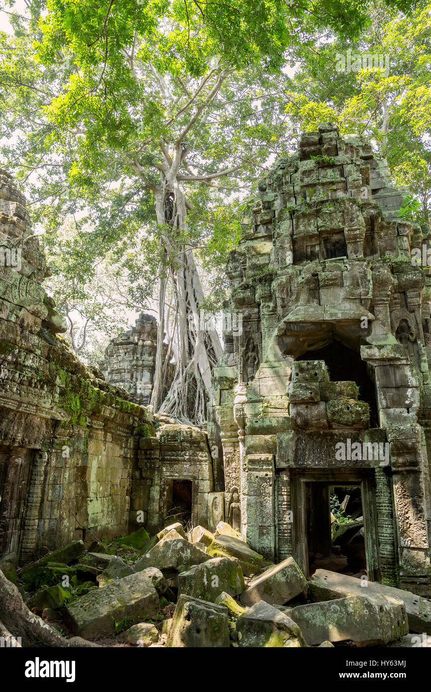 Inside Ta Prohm Temple