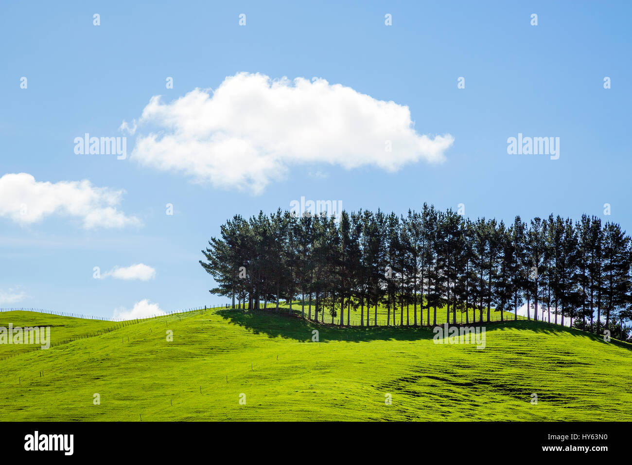 New zealand north island countryside hi-res stock photography and ...