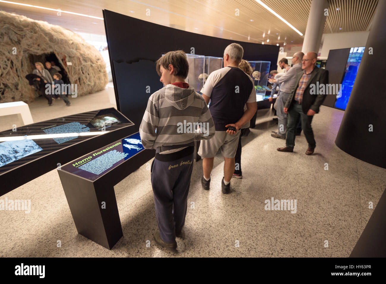 Human evolution museum hi-res stock photography and images - Alamy