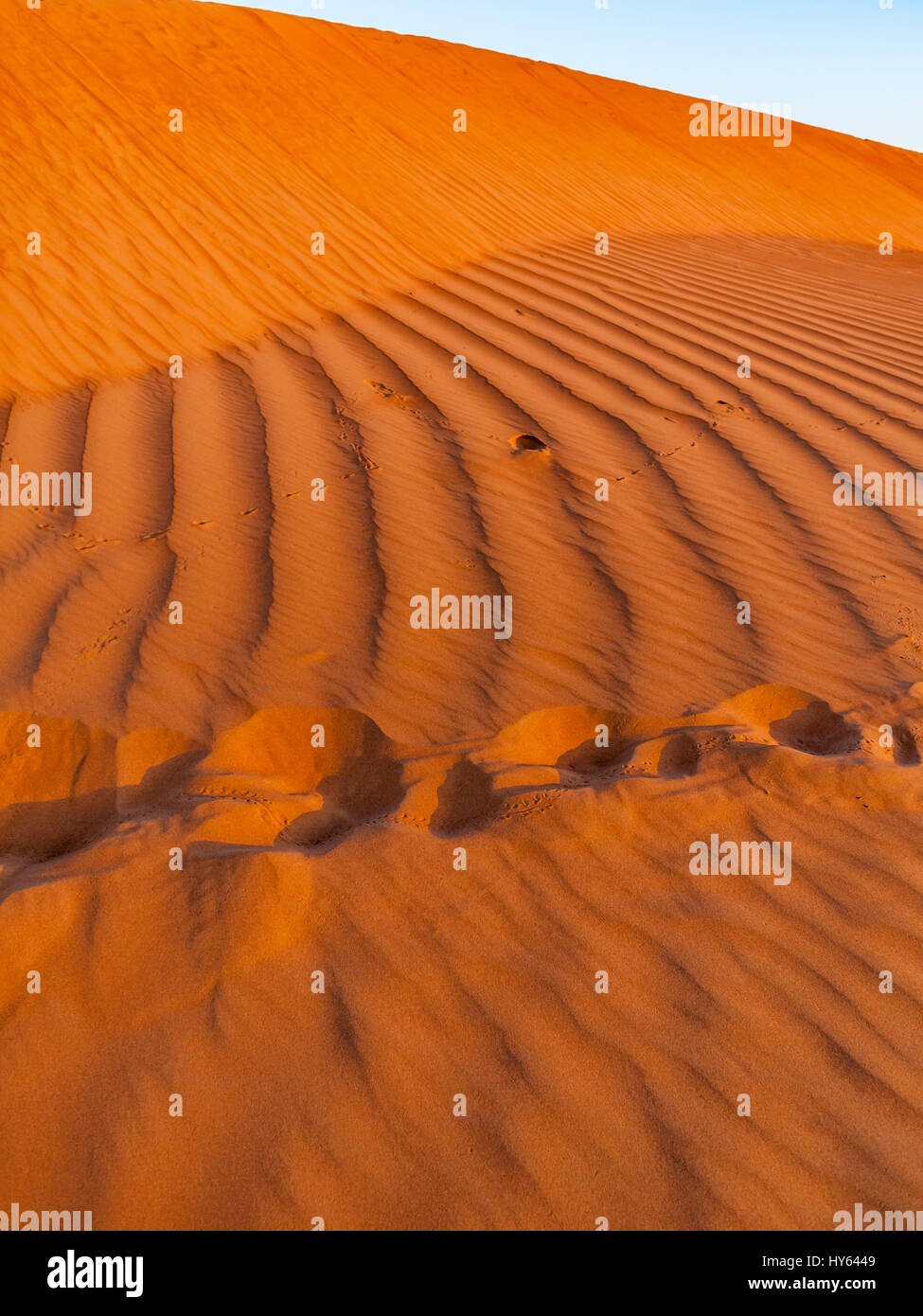 Wahiba Sand, desert, Oman Stock Photo - Alamy