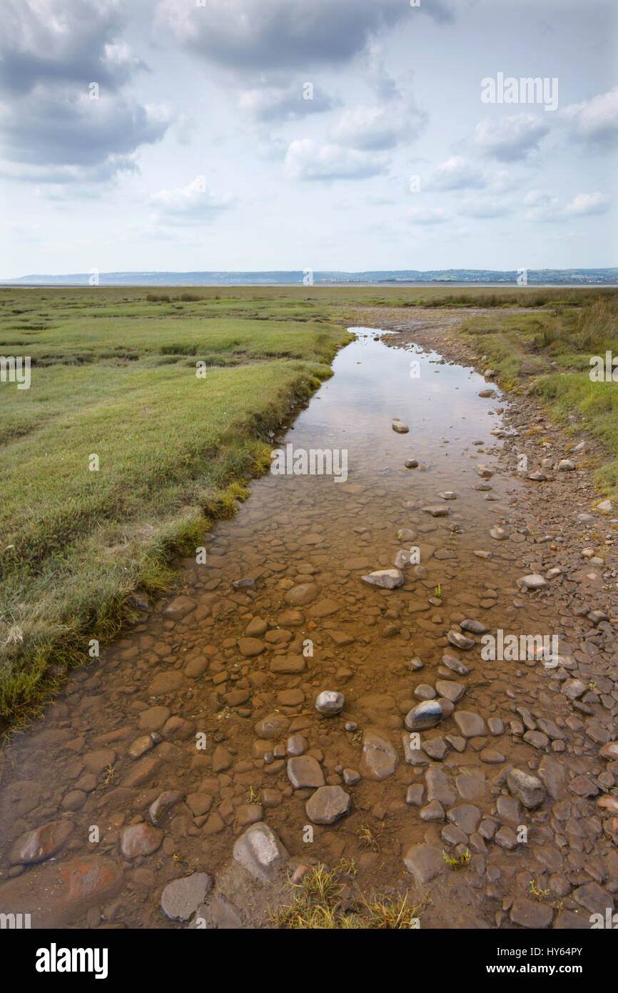 Puddles hi-res stock photography and images - Alamy