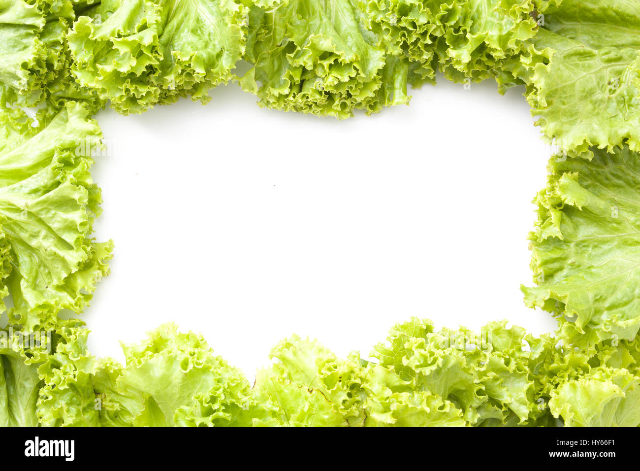 Frame fresh lettuce leaves close up isolated on white background Stock ...