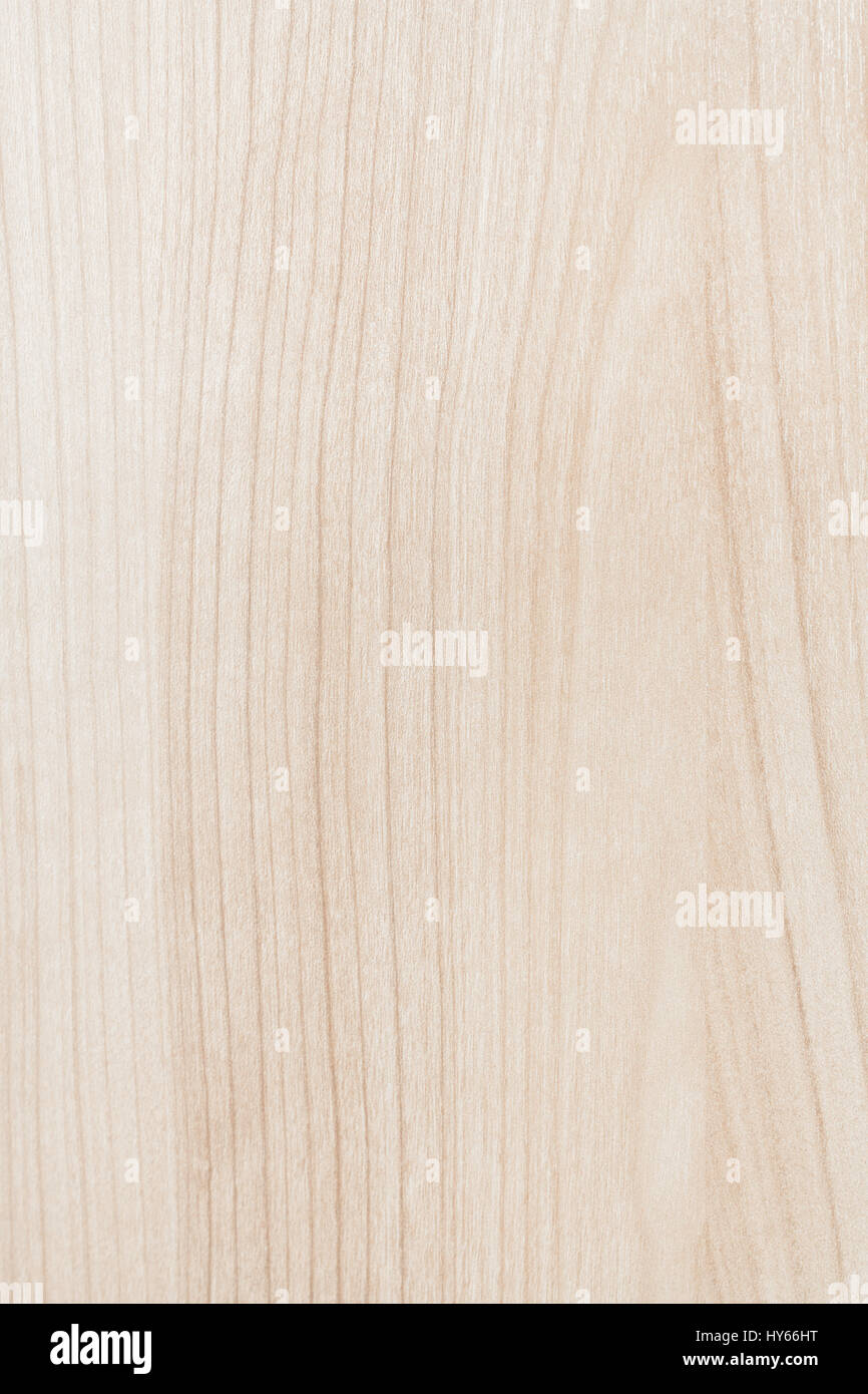 High resolution blonde wood texture Stock Photo - Alamy