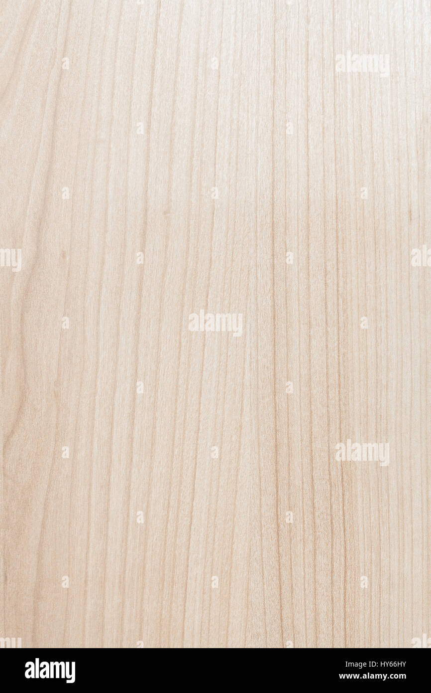 High resolution blonde wood texture Stock Photo - Alamy