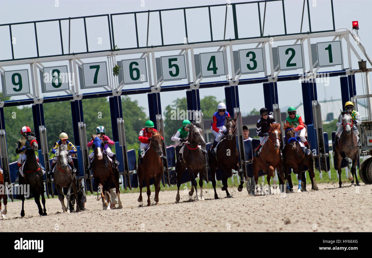 Start racing for the prize of Gul in Pyatigorsk,Caucasus,Russia Stock ...