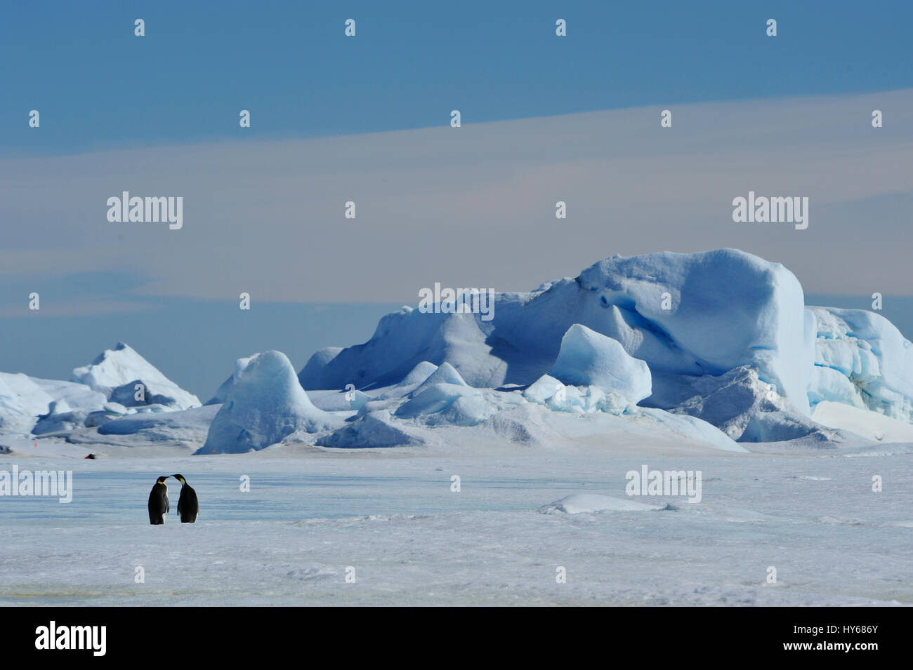 Beautiful view of icebergs Snow Hill Antarctica Stock Photo - Alamy