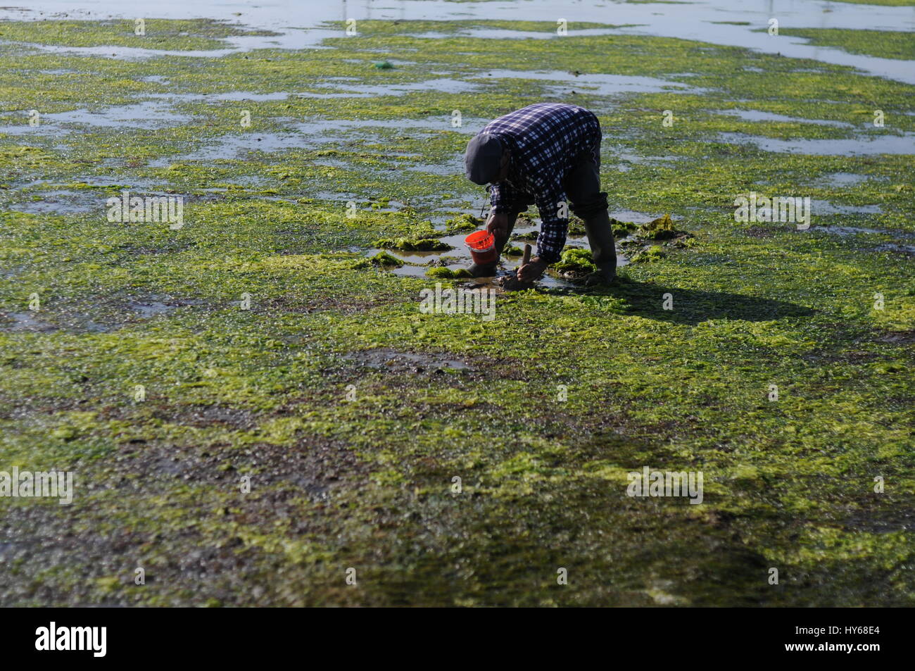 Culatra island hi-res stock photography and images - Alamy