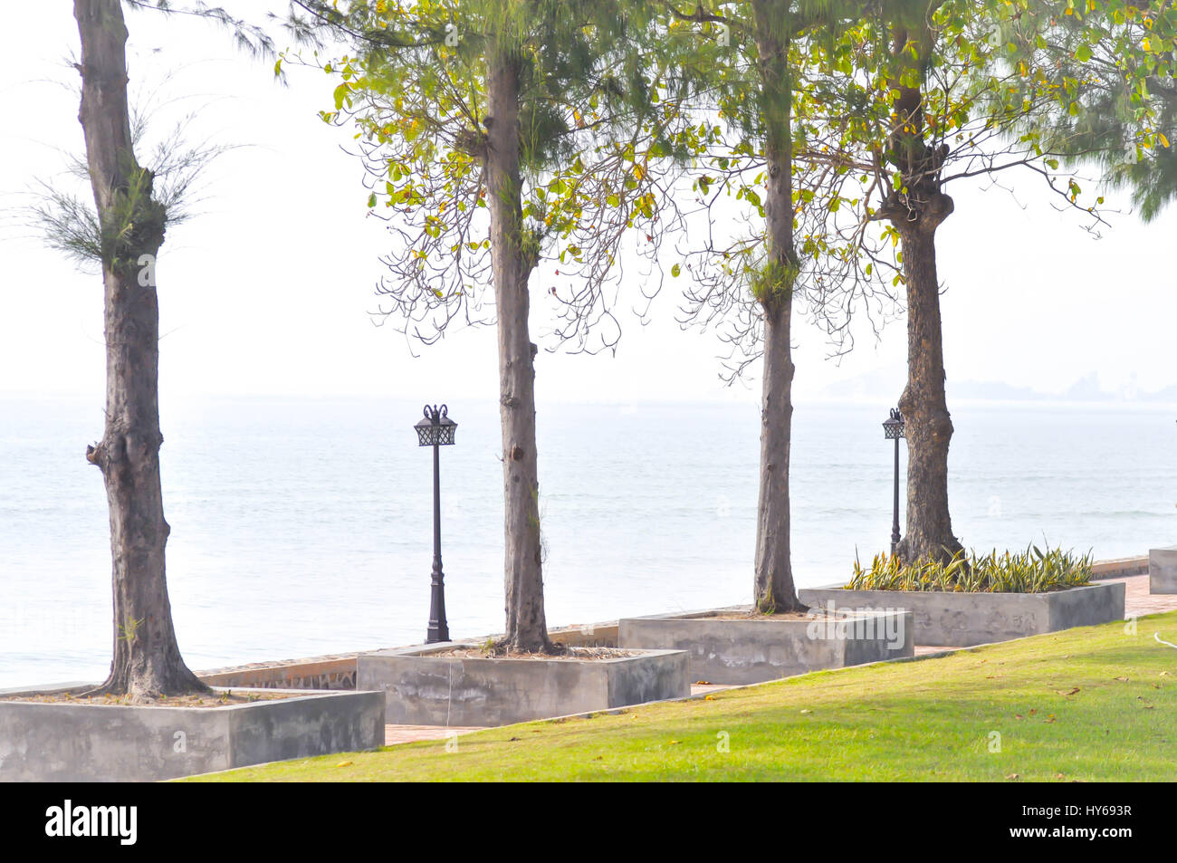 beach , tree and lamp background Stock Photo - Alamy
